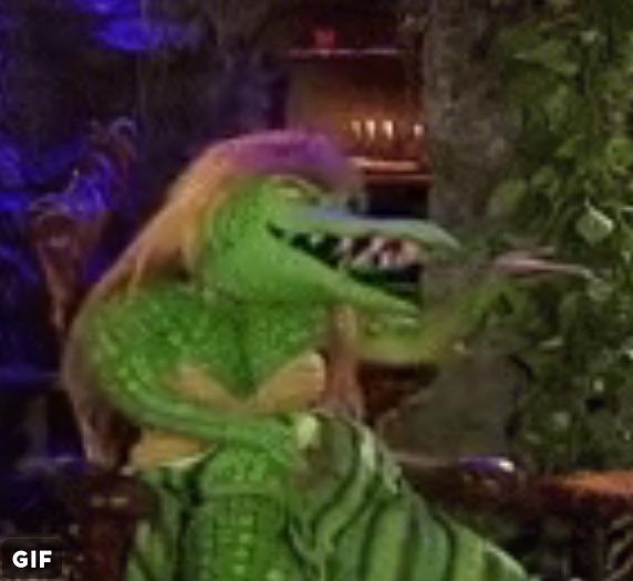 Meet cuca, the sassy alligator meme that has taken social media by ...