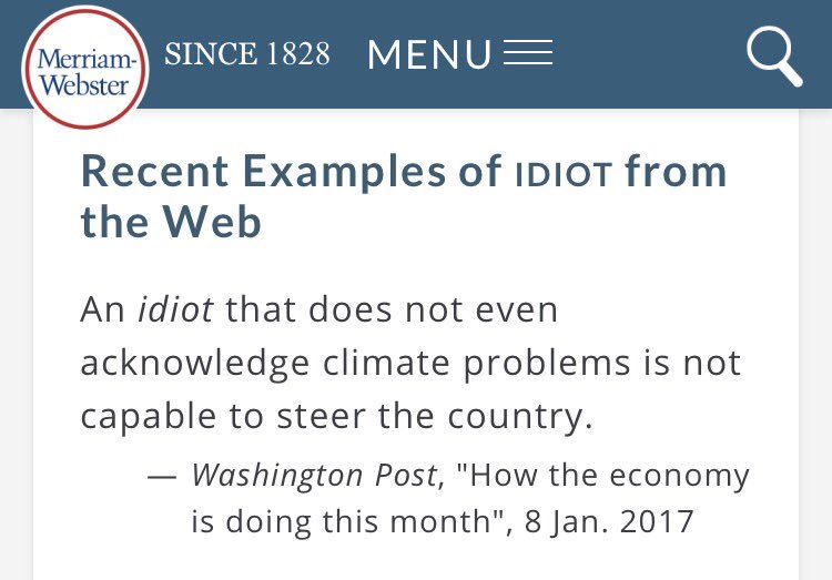 Idiot Word
