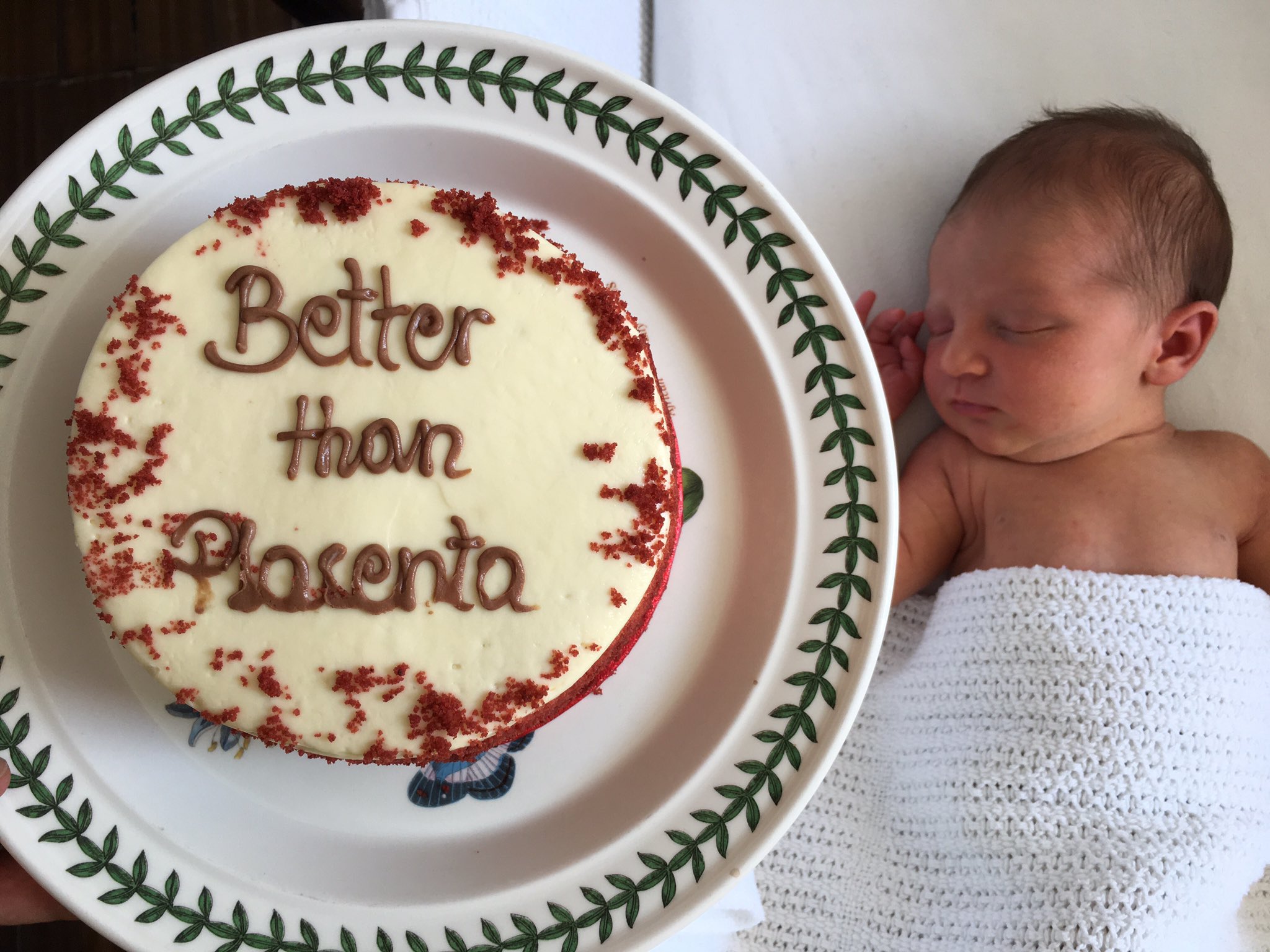 Placenta Birthday Cake