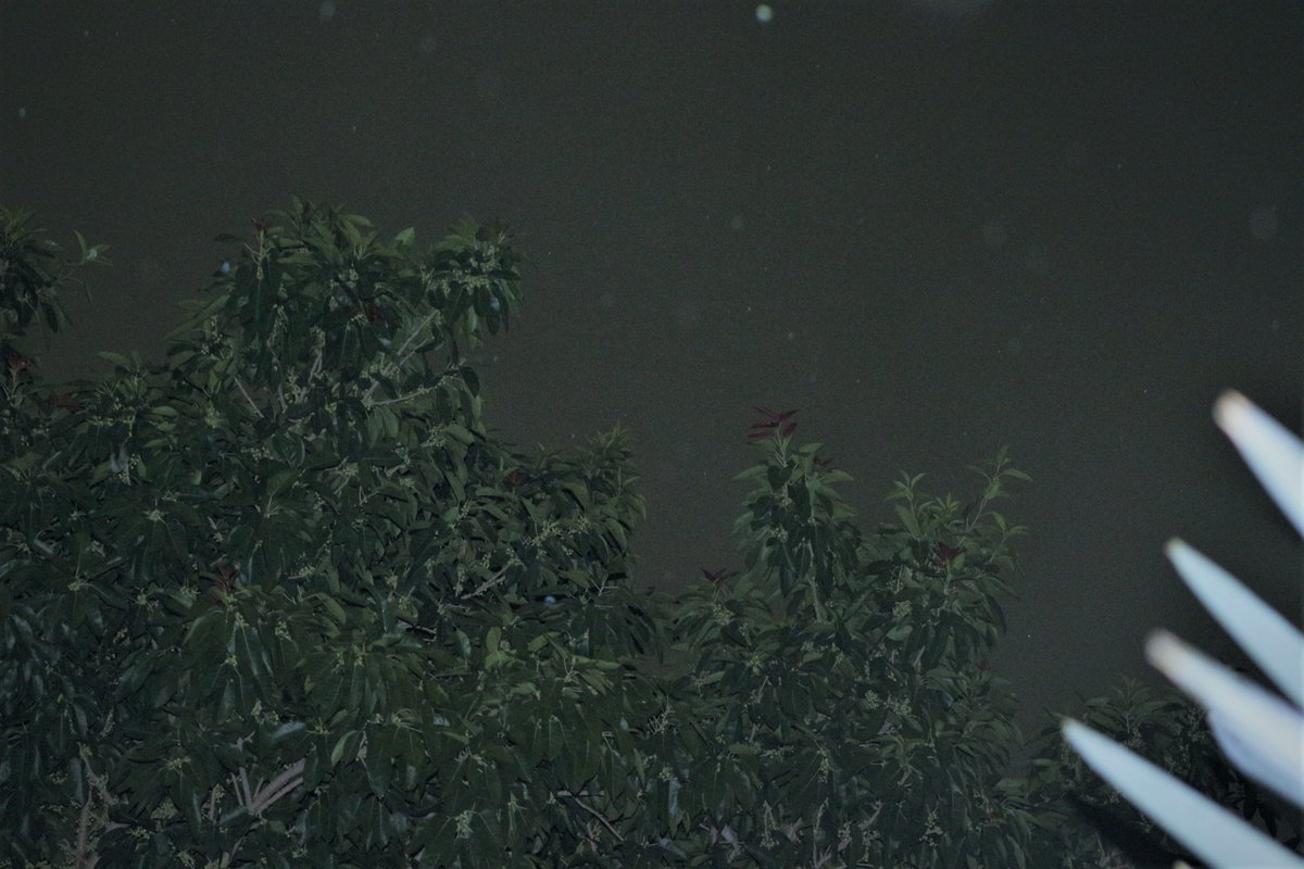 Saher mahtab (@sahermahtab) | Twitter