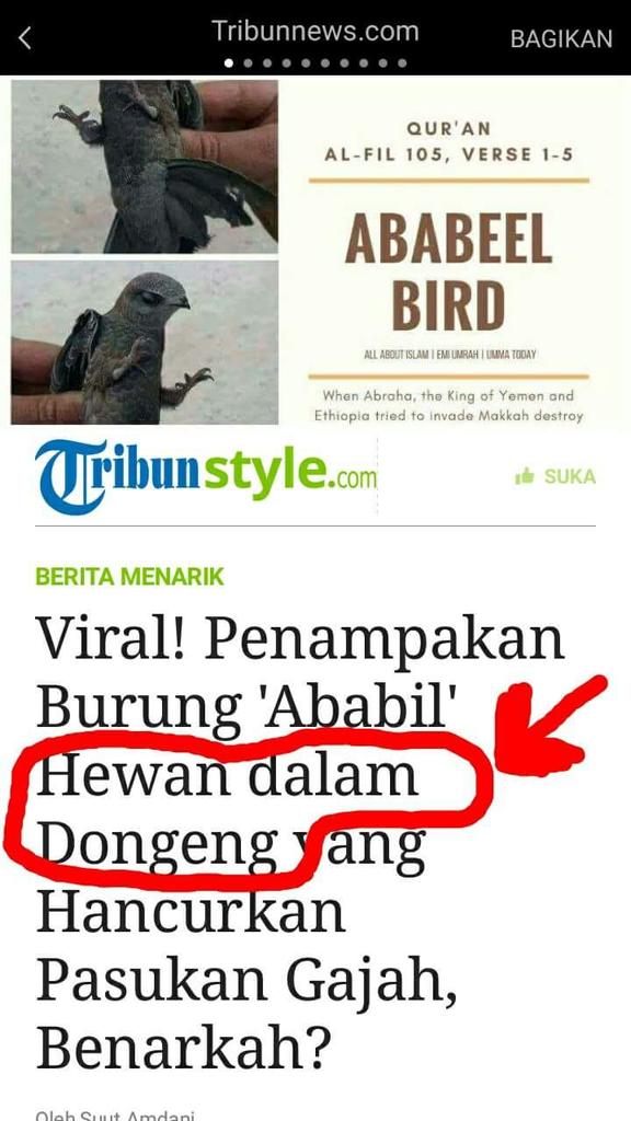Burung Ababil Dalam Al Quran