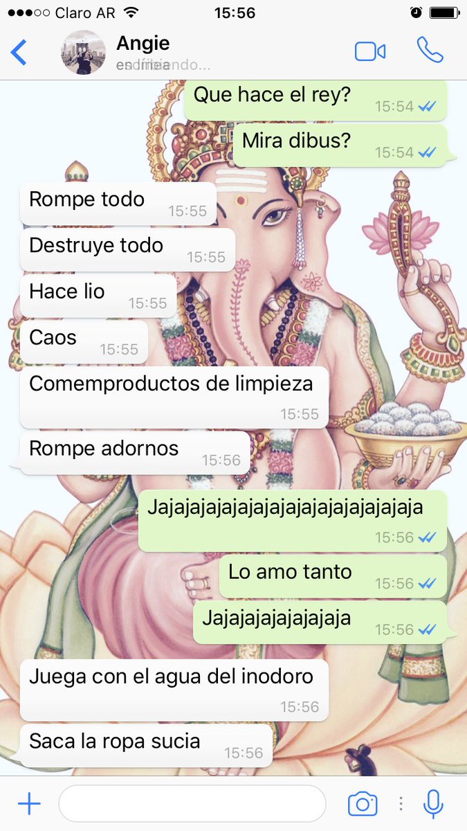 Sofi Palacios (@Sofy_Palacios) | Twitter