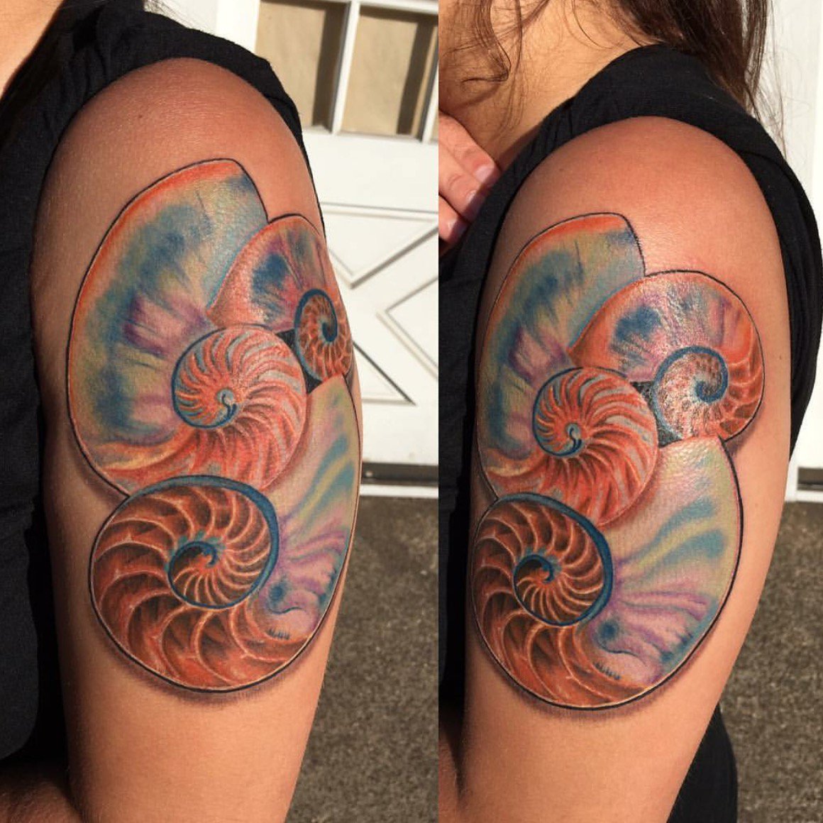 Spiral Shell Tattoo