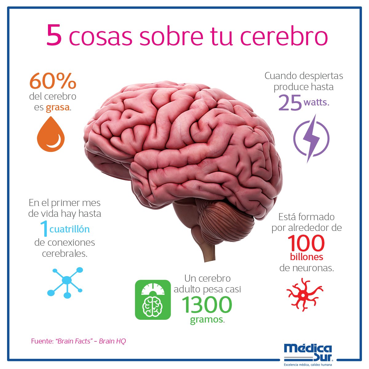 Dato Perturbador Sabias Que Datos Curiosos Datos Curiosos Mundo Y 40560