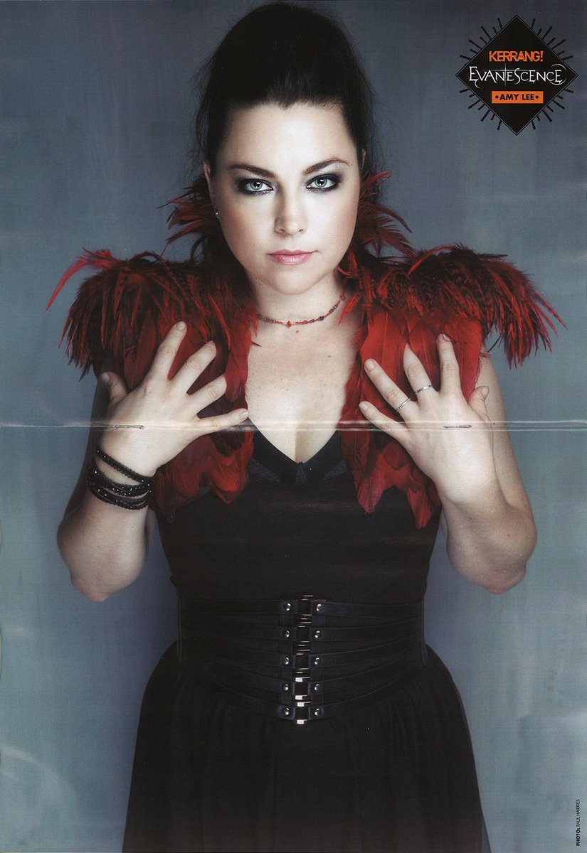 Amy Lee Gothic Dress