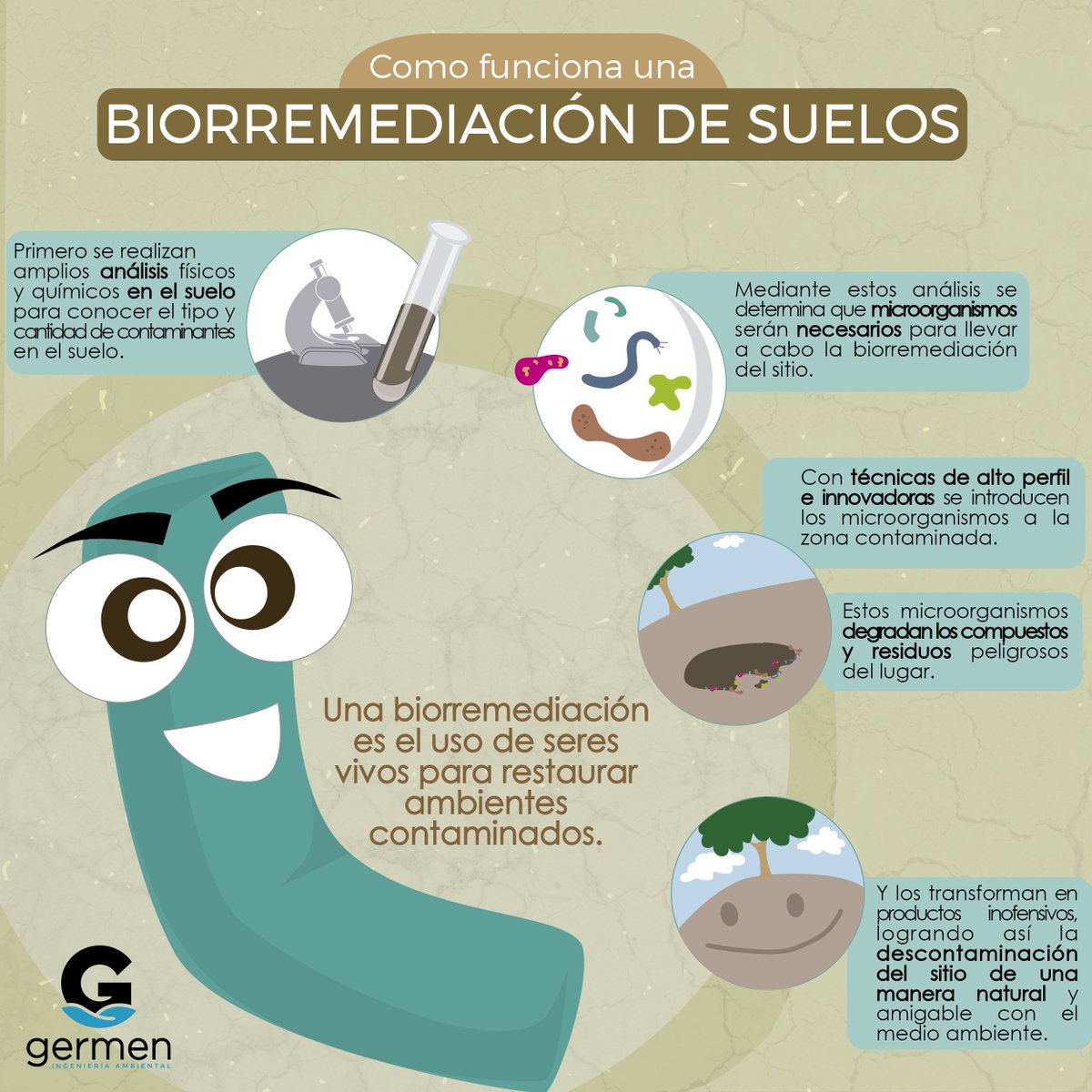 Biorremediación y biodegradación