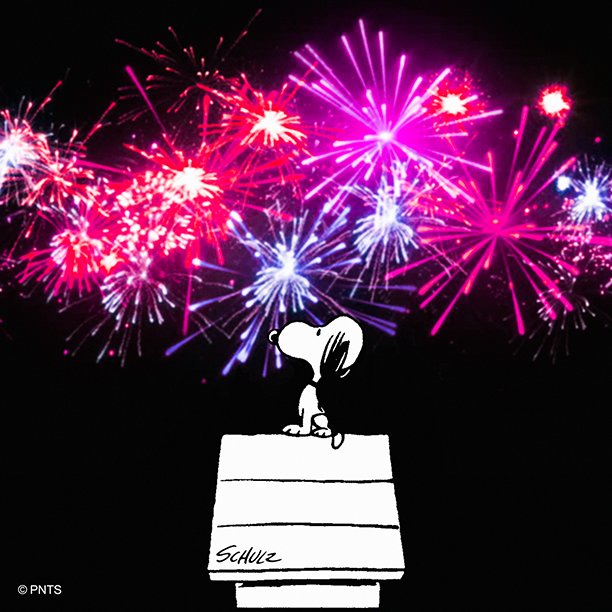 Peanuts 4th Of July