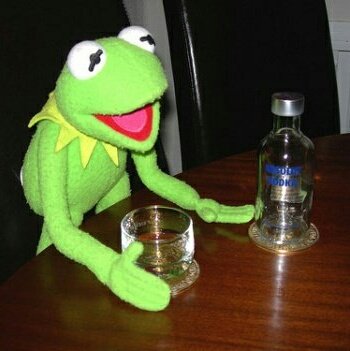 Kermit The Frog Drinking Beer