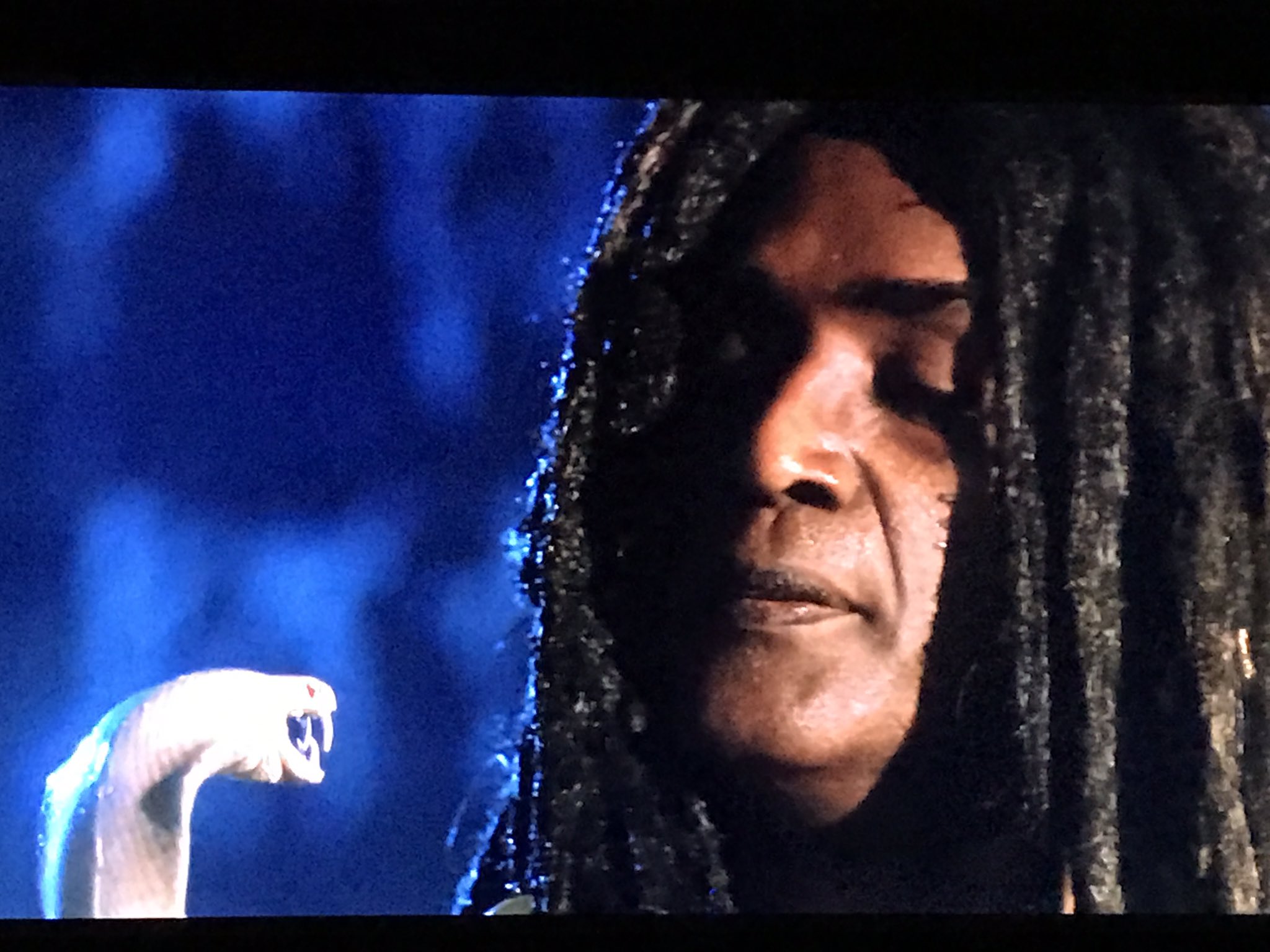 Predator King Willie