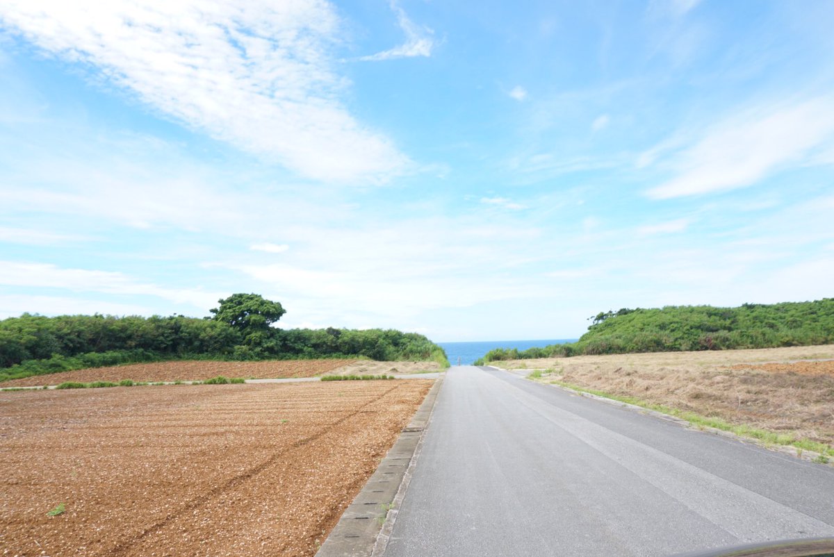 となっしー (@moco_ts) | Twitter