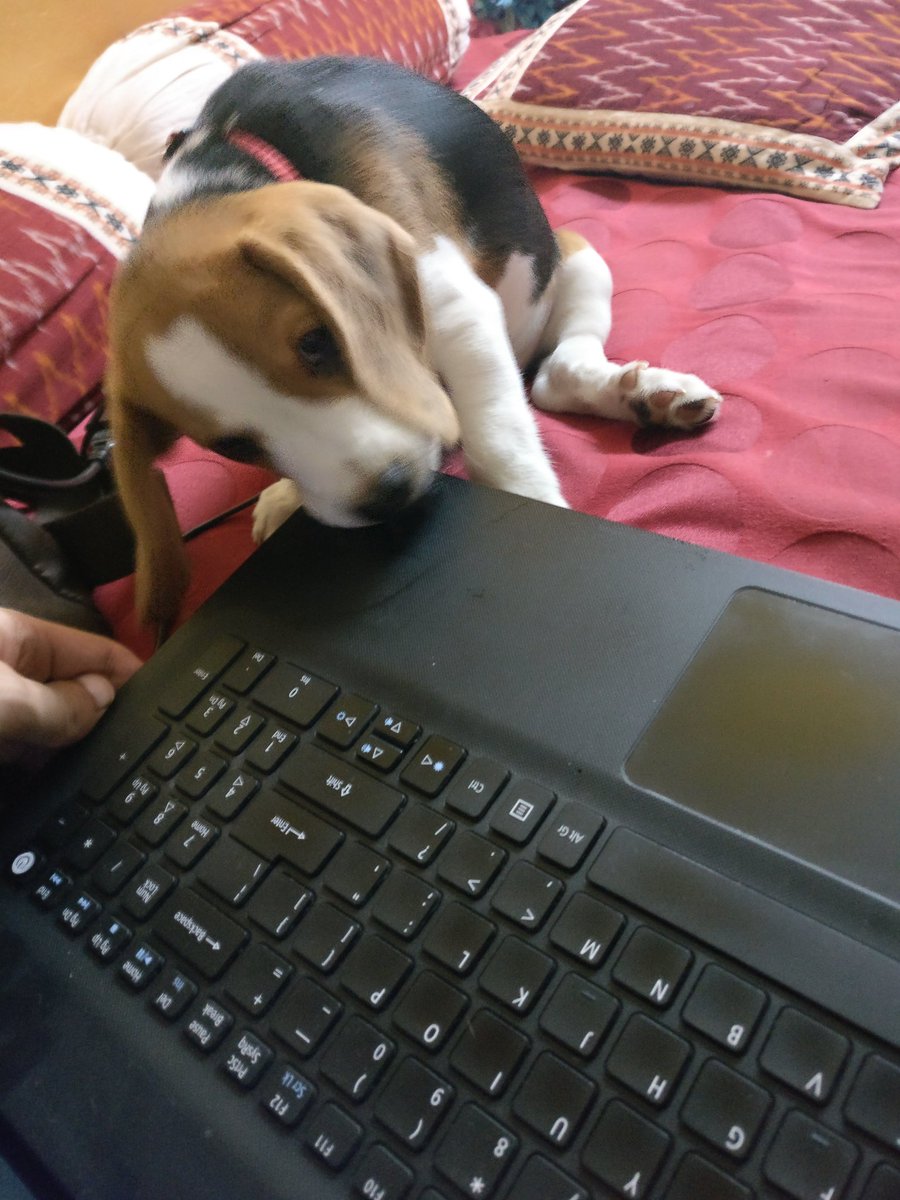 Yatin Gera (@nerdchacha) | Twitter