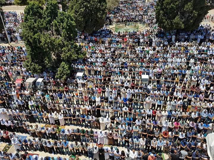 Hosam Shaban (@HosamShaban111) | Twitter