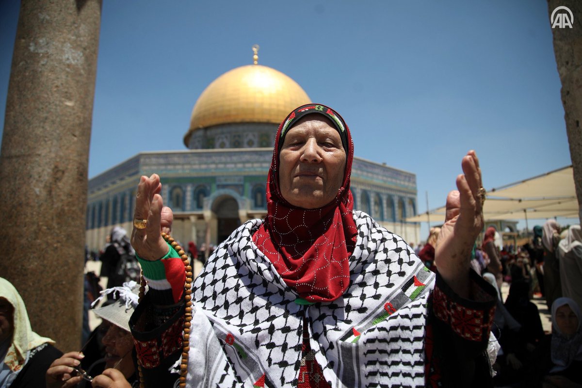 Hosam Shaban (@HosamShaban111) | Twitter