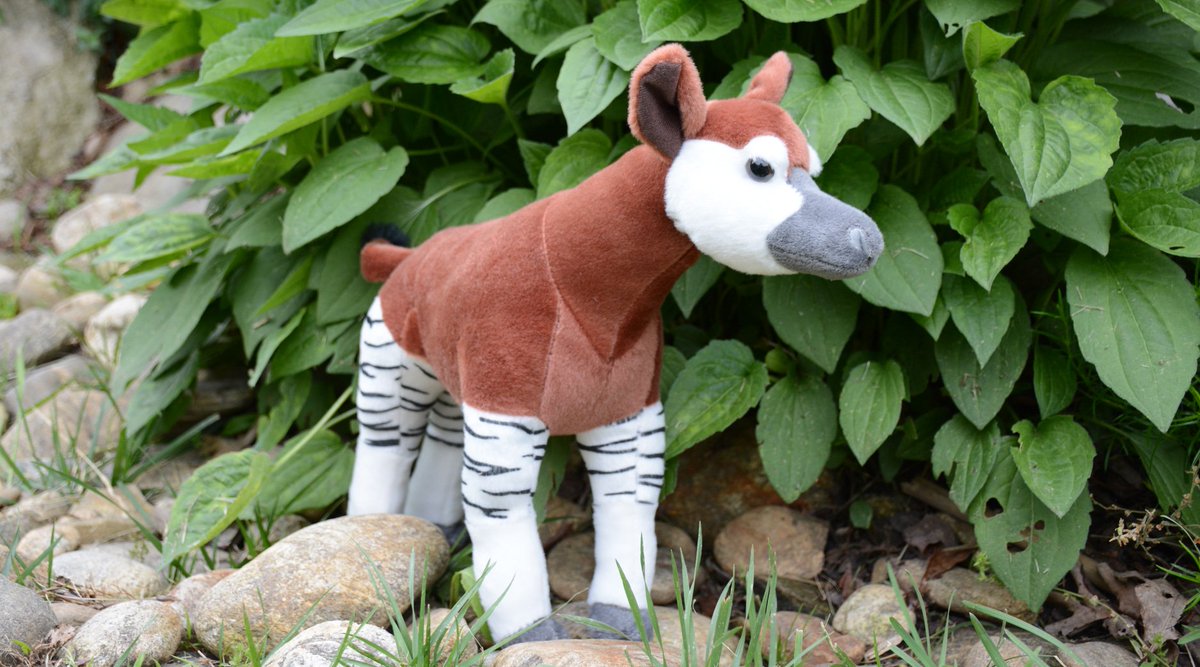 Okapi Stuffed Animal