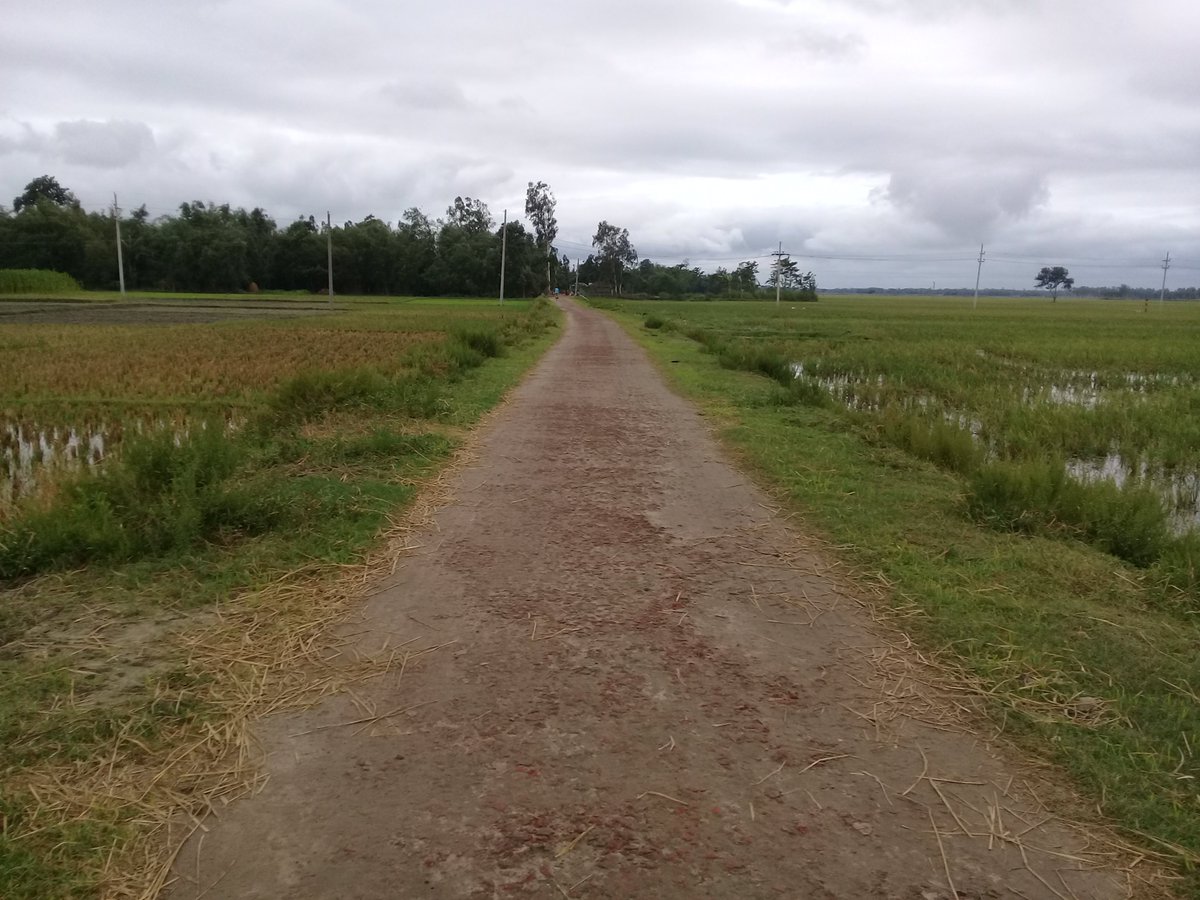 Sagor Sarker (@sagor_sarker) | Twitter