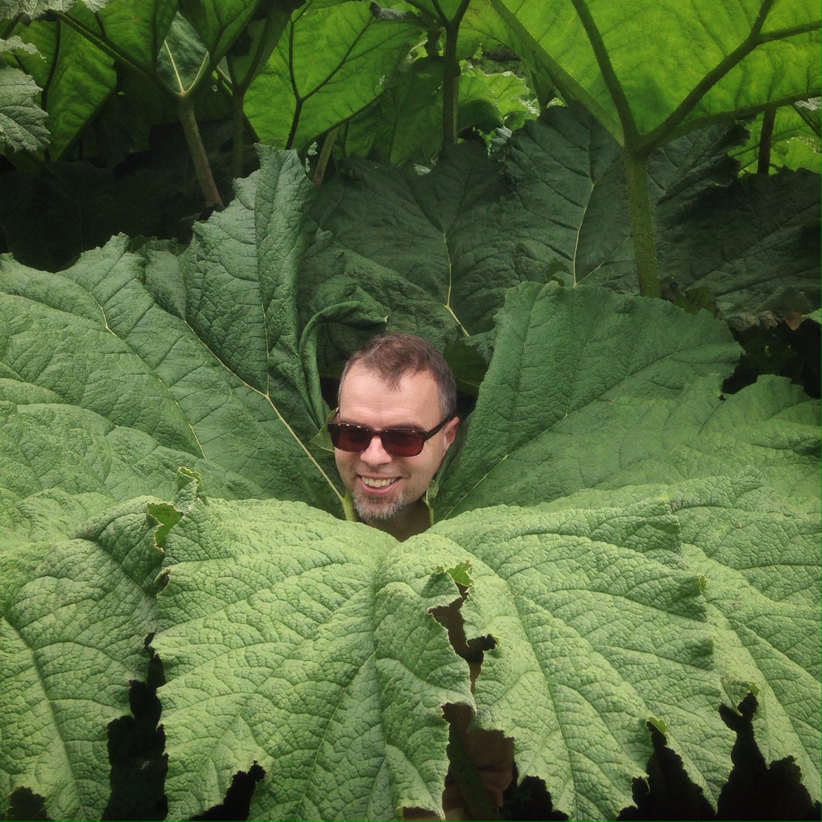 Half Human Half Plant