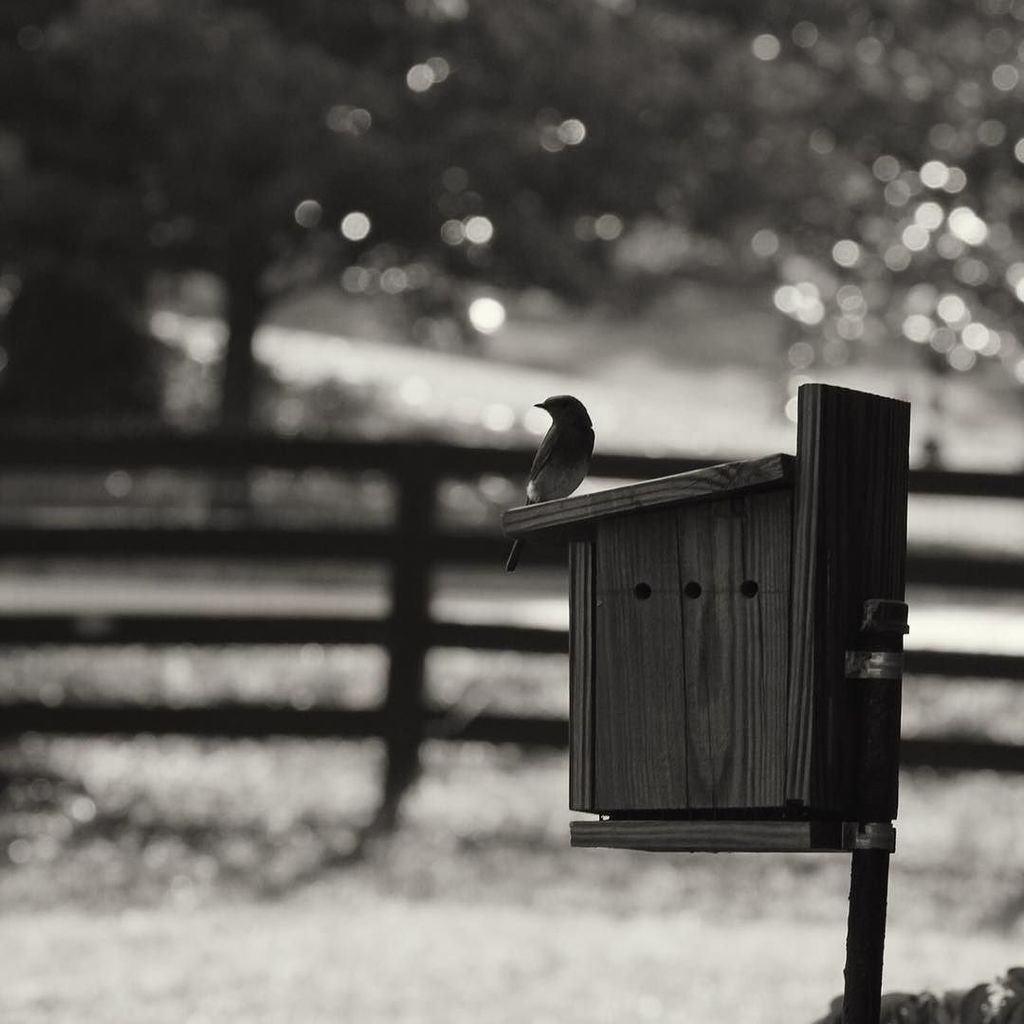 Jake Orme (@jatorme) | Twitter