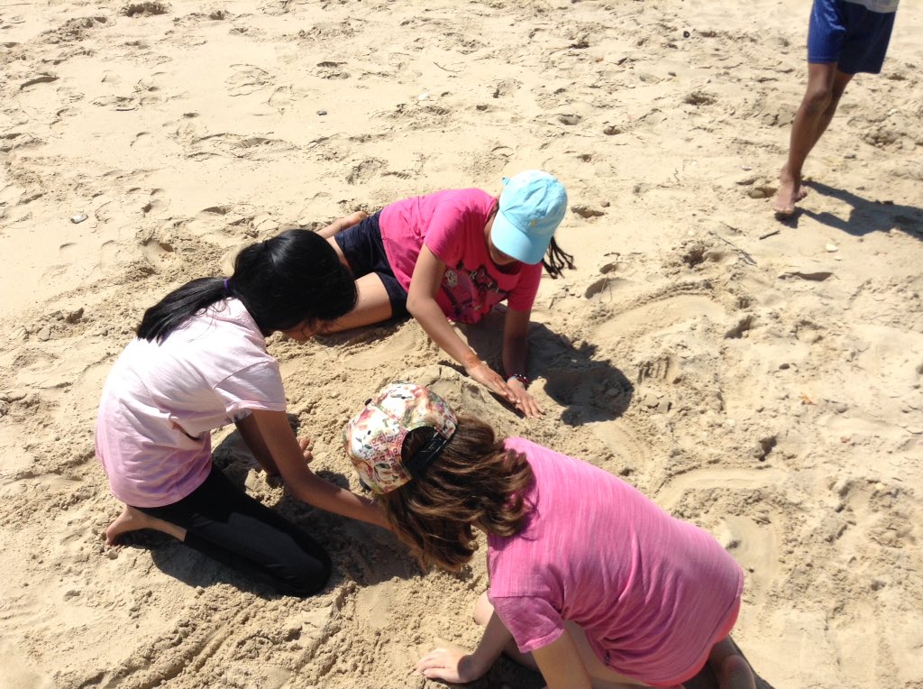 John Levick (@J_Levick) | Twitter