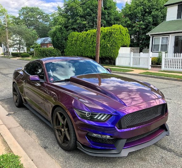 Rainbow Mustang