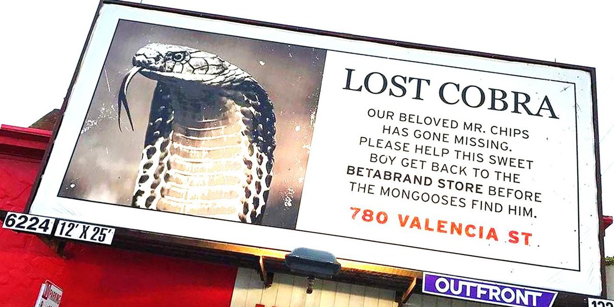 King Cobra Orlando Memes