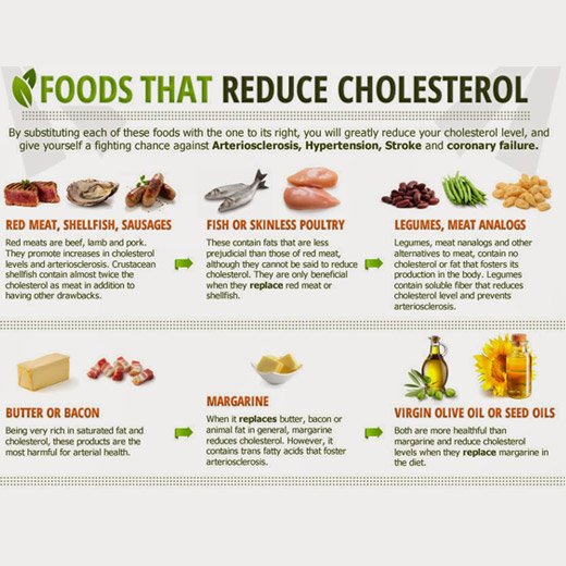 Cholesterol Foods Chart