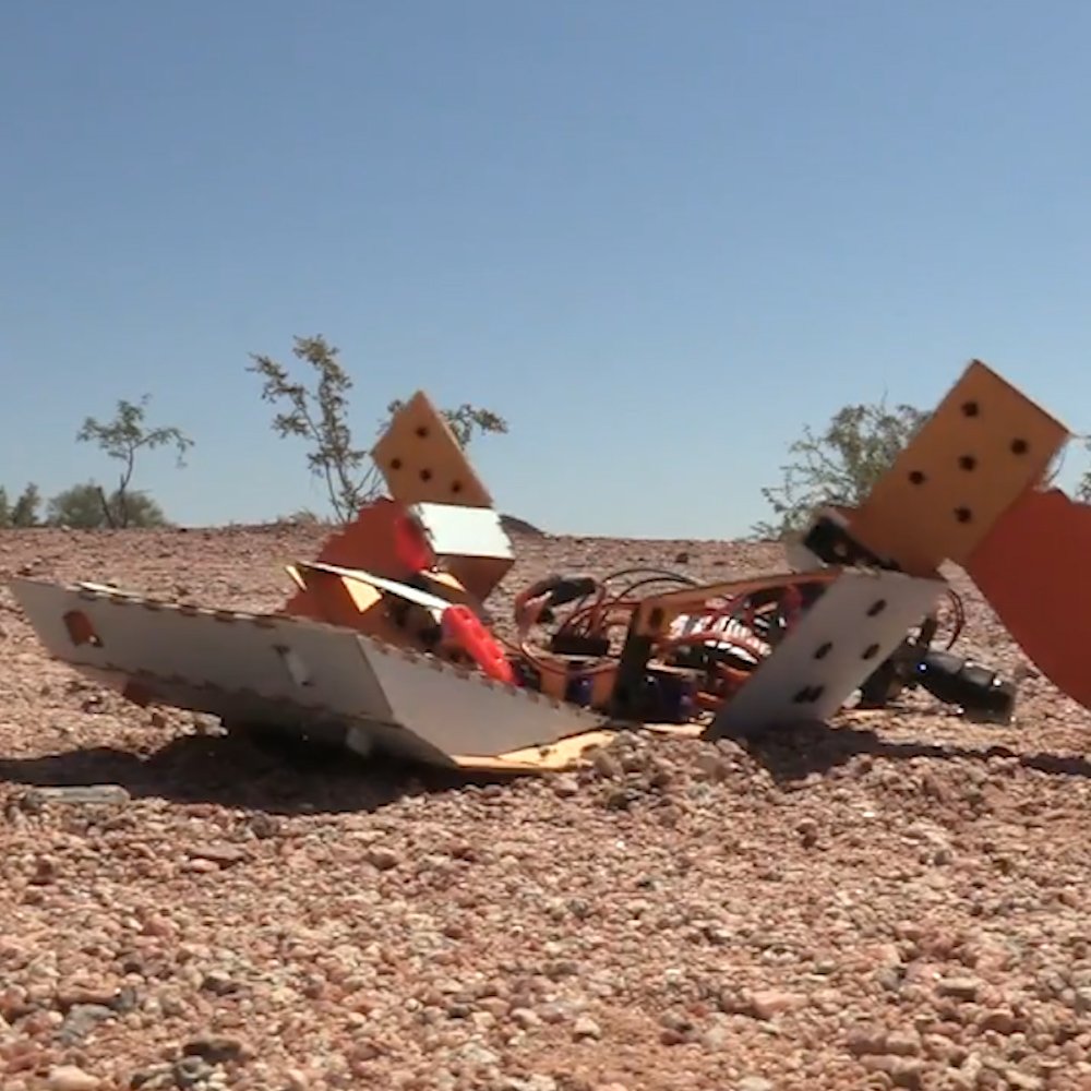 Researchers are using robotic sea turtles to find land mines | Business ...