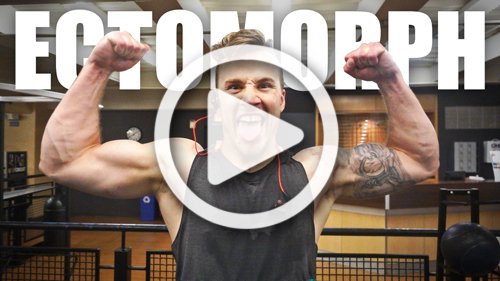 Ectomorph Transformation