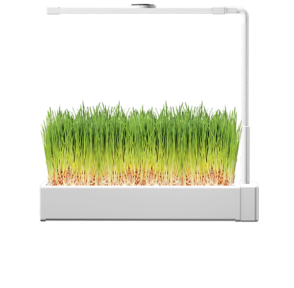 OPCOM Link (@OPCOM_group) | Twitter