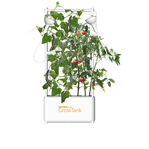 OPCOM Link (@OPCOM_group) | Twitter