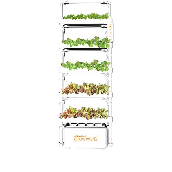 OPCOM Link (@OPCOM_group) | Twitter