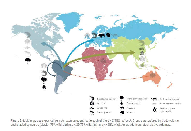 Rainforest World Map Of The Orchids