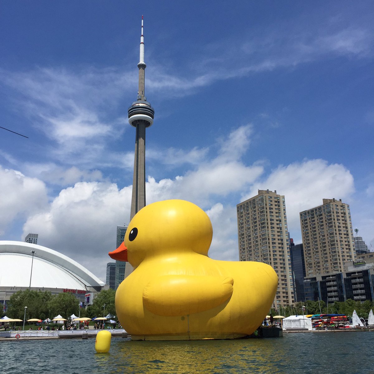 Giant Real Duck