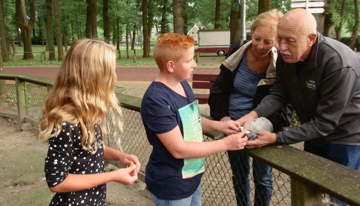 Dr Pols Kids | Kids Matttroy