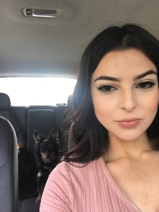 Tw Pornstars Phoebe Queen The Most Liked Pictures And Videos From Twitter For All Time