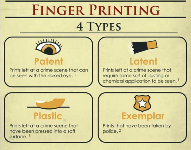 Plastic Fingerprints