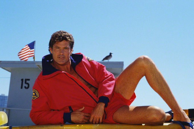 David Hasselhoff's Birthday Celebration | HappyBday.to