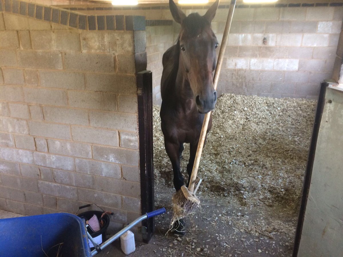 Tania Kindersley (@taniakindersley) | Twitter