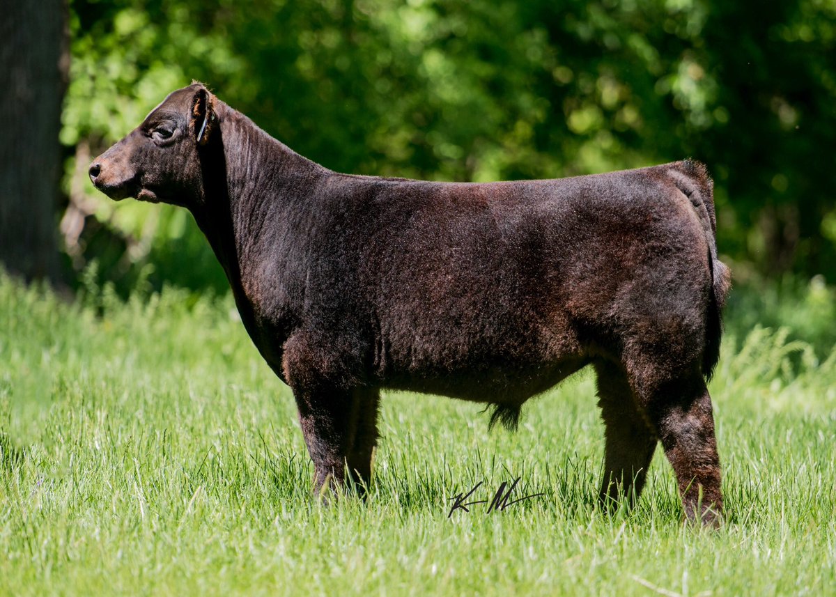 Kaleb Lunstra (@KalebLunstra) | Twitter