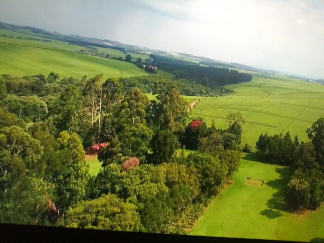 Kericho Town.Tea town in south rift,kenya. | Page 15 | JamiiForums
