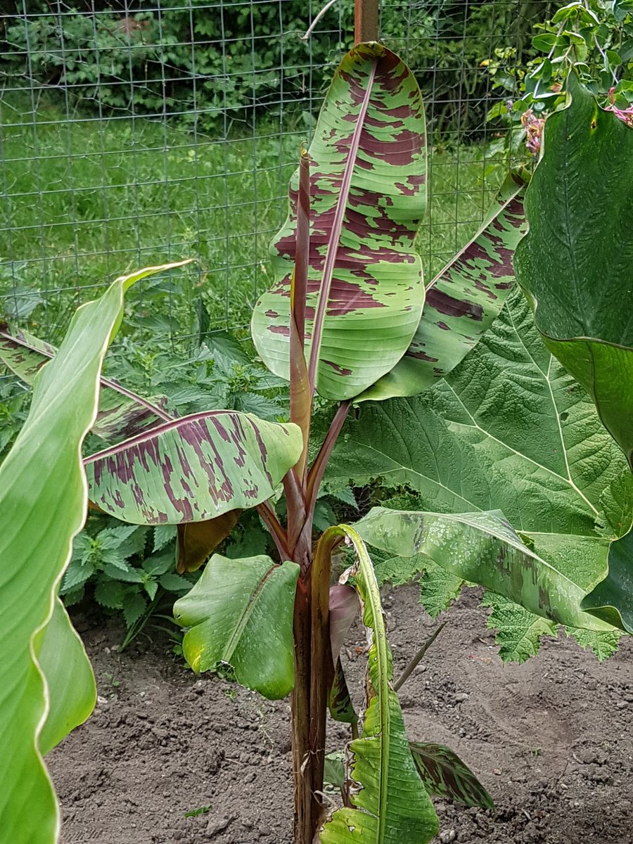 Alexandra Beisel (@BeiselAlexandra) | Twitter