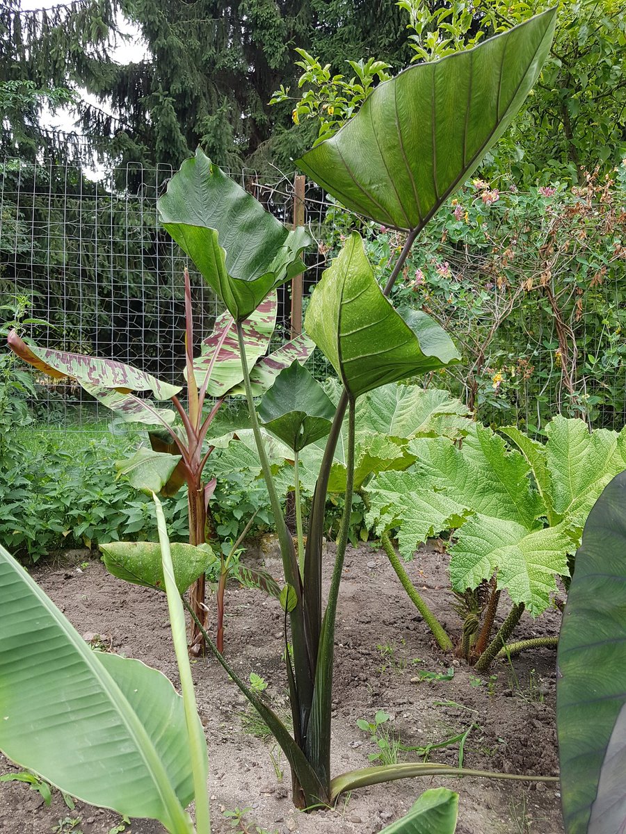 Alexandra Beisel (@BeiselAlexandra) | Twitter