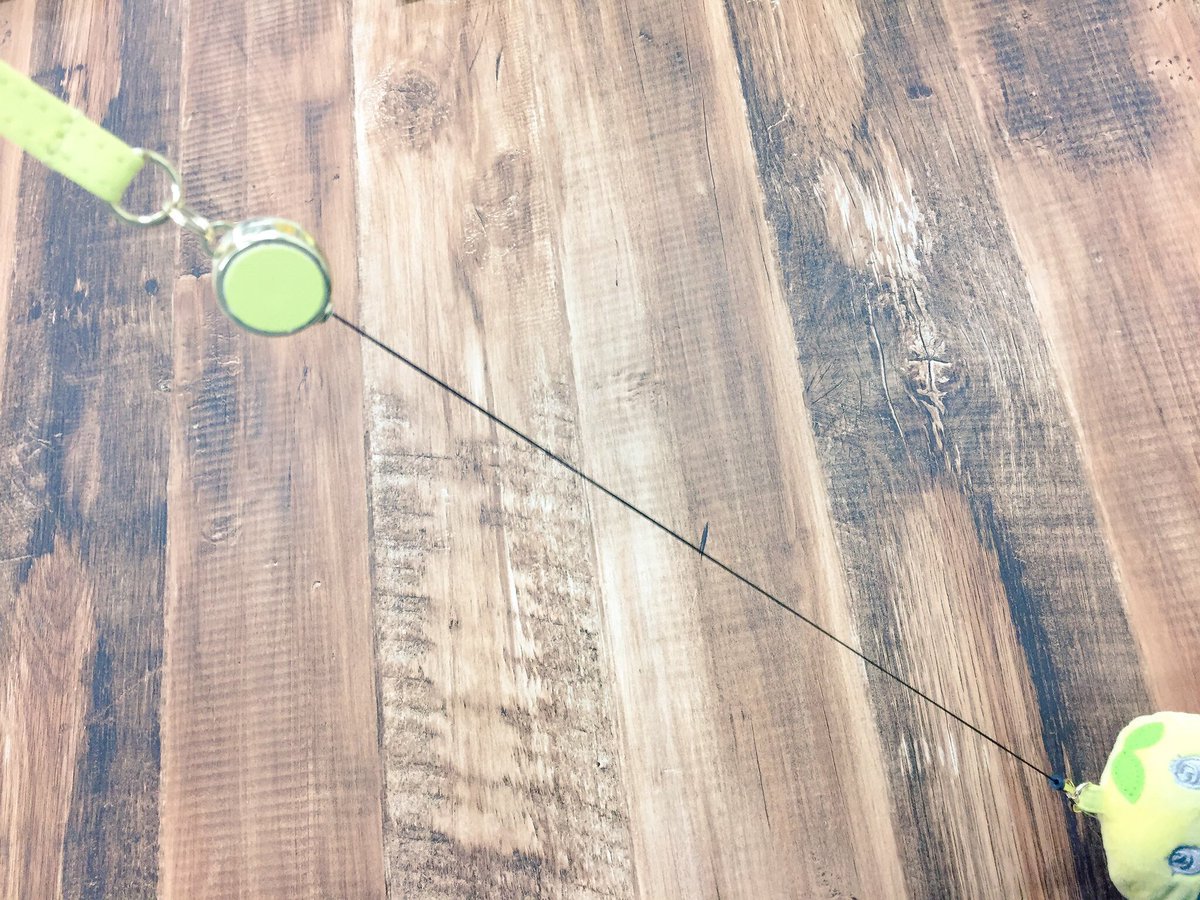 rinrin (@rin_719ma) | Twitter