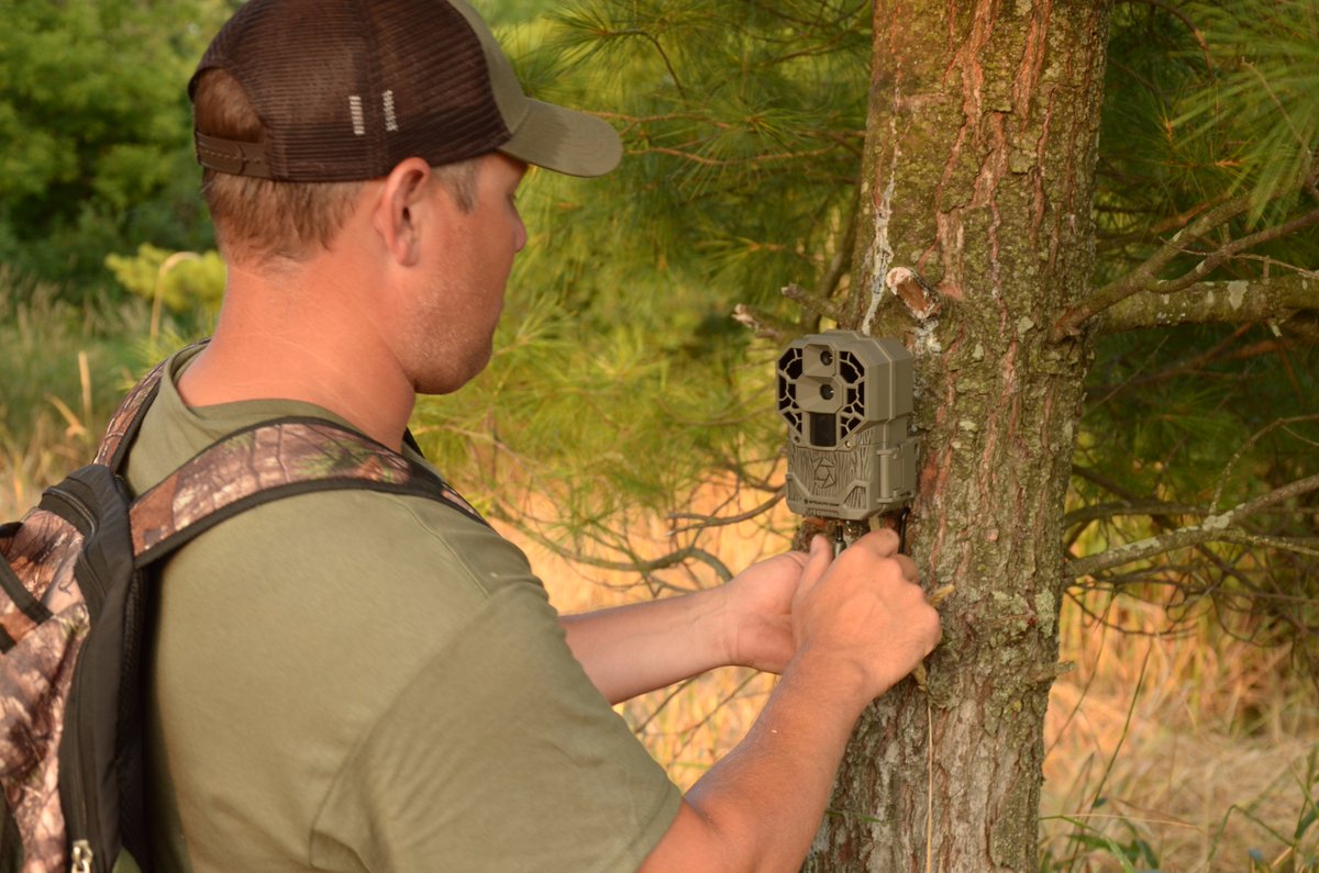 Getting A Good Whitetail Deer Mount