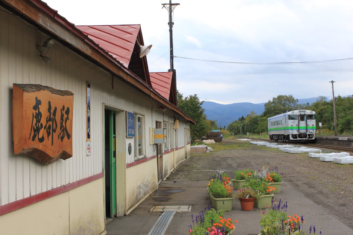 siraga (@kunebetuoonuma) | Twitter