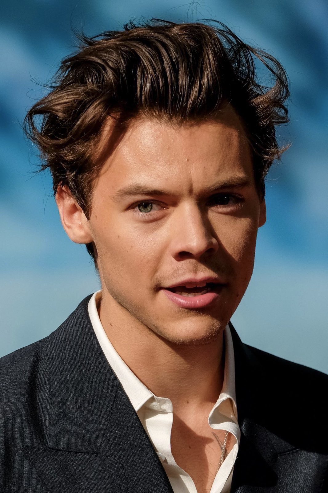 Harry Styles Chest Hair