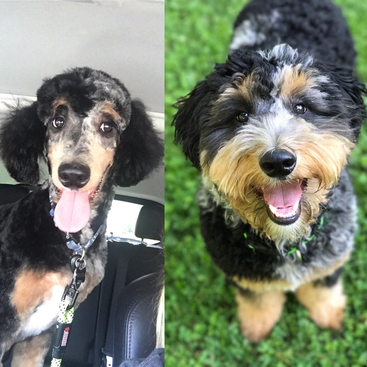 Ethan Bauer (@ethanjbauer) | Twitter