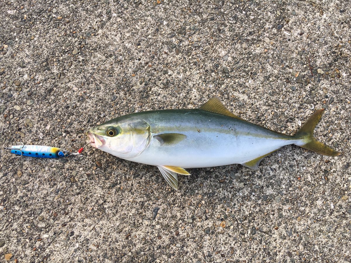 MR.MR (@lazy_ryuchan) | Twitter