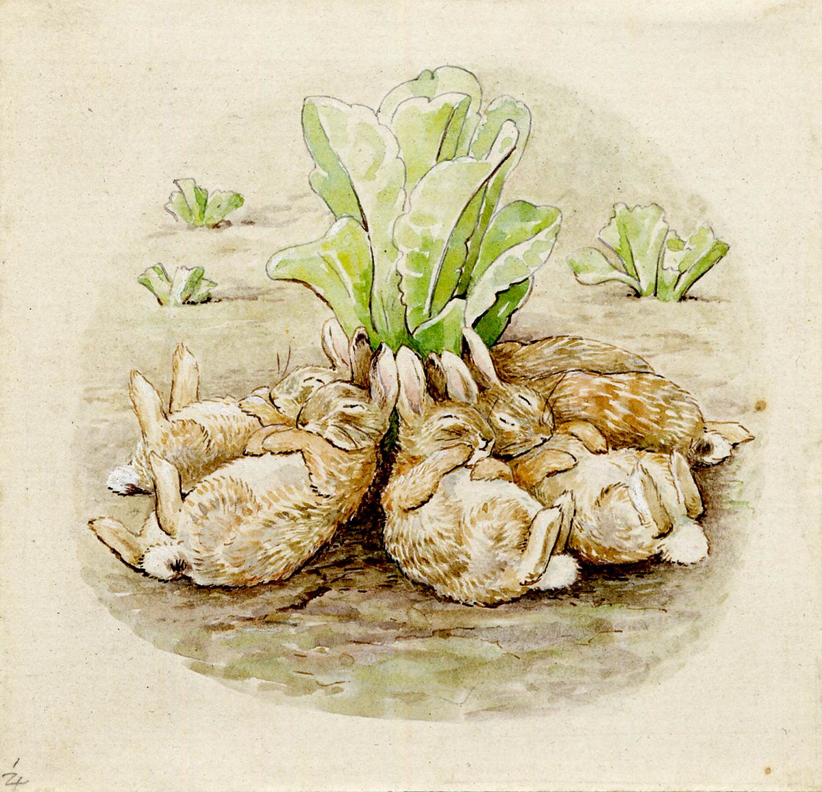Author beatrix potter was born in 1866. these are her original ...