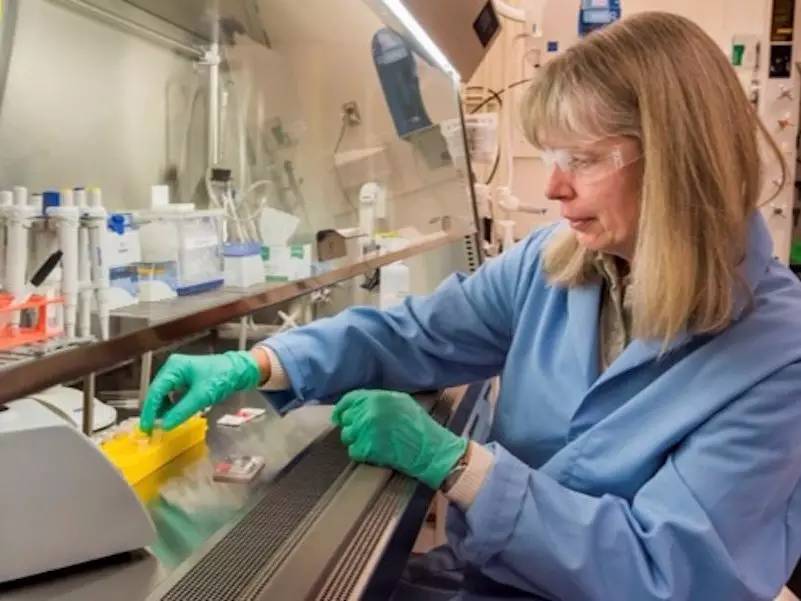 New fellowship SandiaLabs honors first female director of a ... New fellowship SandiaLabs honors first female director of a ...