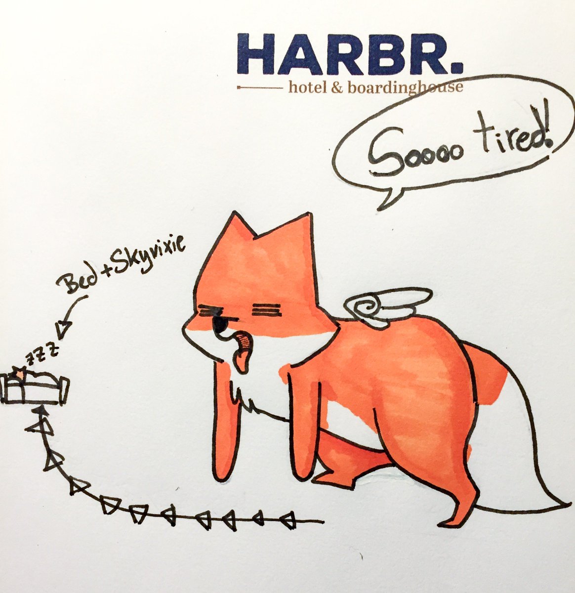 Daily Skyfox 🦊 (@dailyskyfox) | Twitter